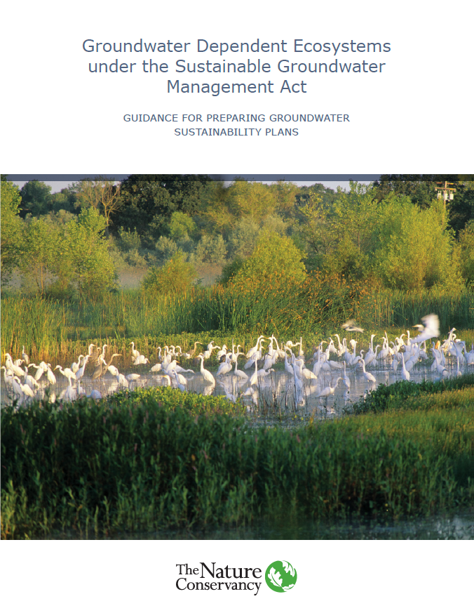 New Report: Improving the management of groundwater-dependent ...