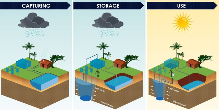 A nature-based, innovative and low-cost solution for disaster-resilient ...